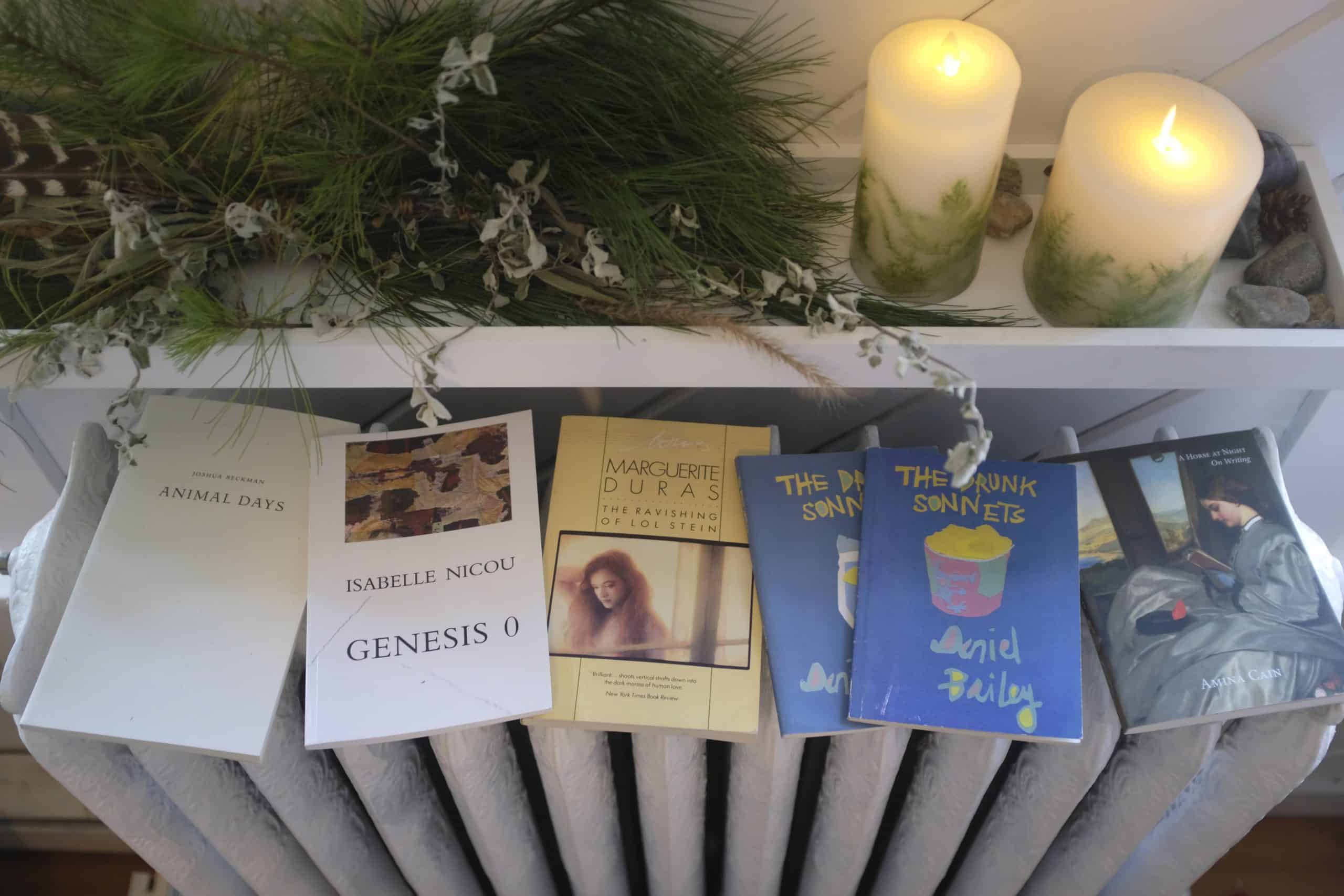 LOL on every page: October book reviews - crowjonah